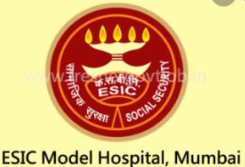 ESIC Mumbai Medical Recruitment 2024 - नोकरीची संधी